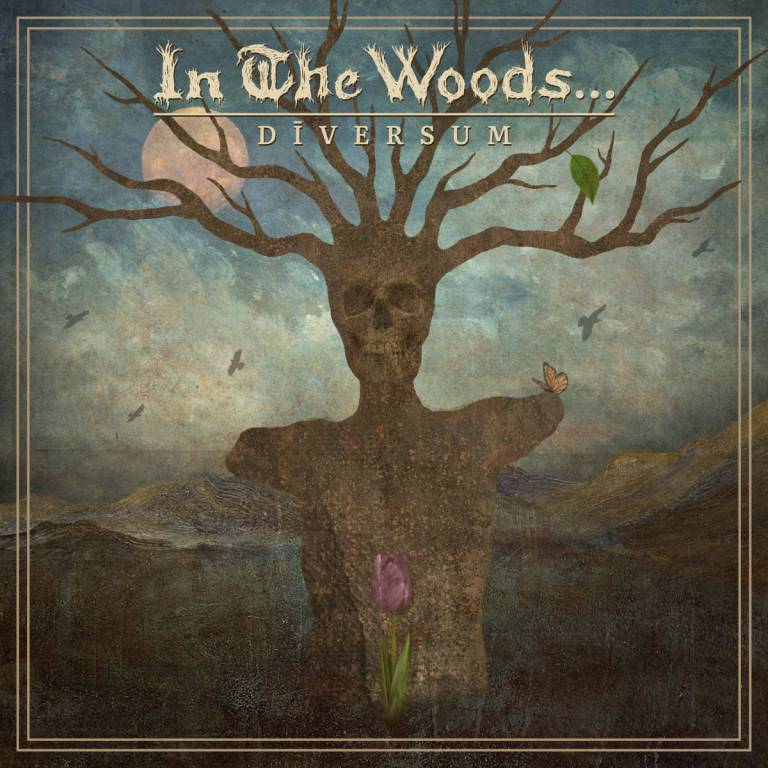 Review IN THE WOODS ‘Diversum’ – Markus' Heavy Music Blog